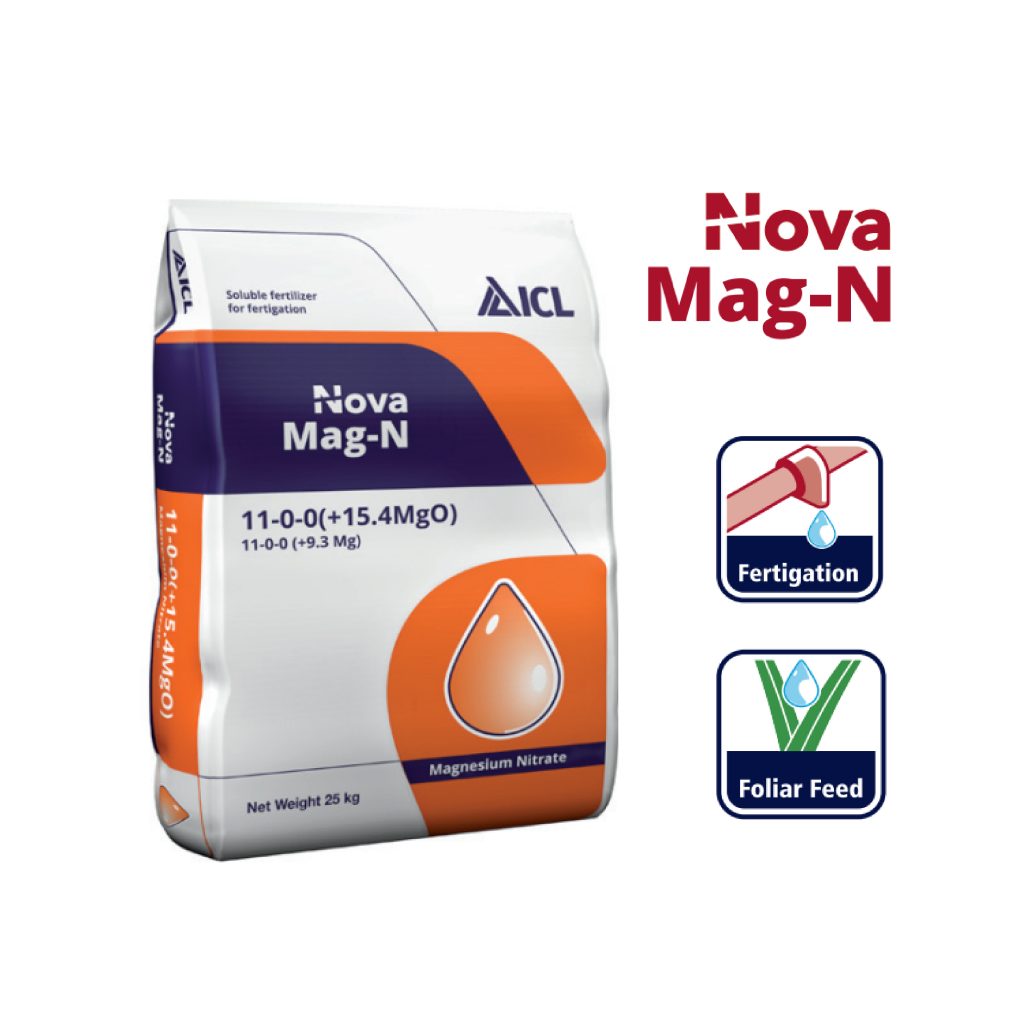 Phân bón Nova Mag-N 11-0-0+15.4MgO (Magnesium Nitrate) (25kg/bao) - ICL ...