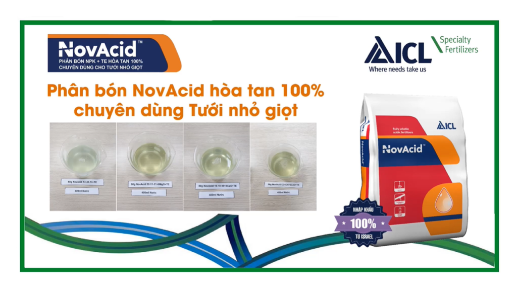 Thư viện - Khang Thịnh